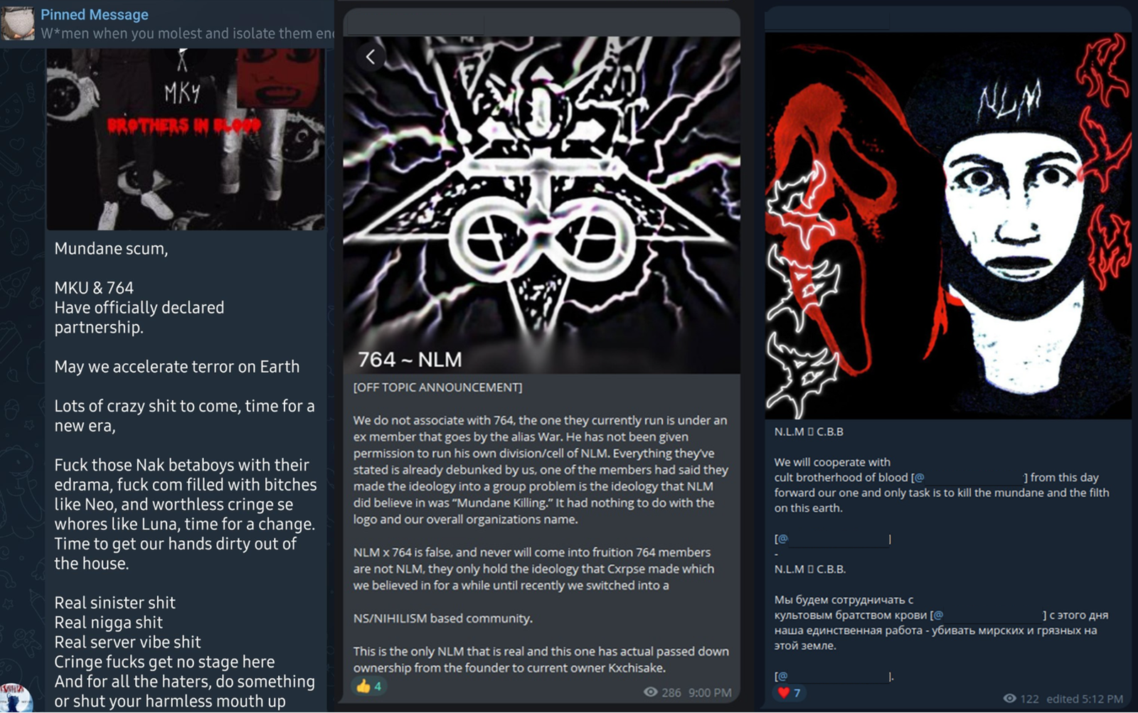 The Rise of Nihilistic Accelerationism: From Sextortion to Stabbings in ...